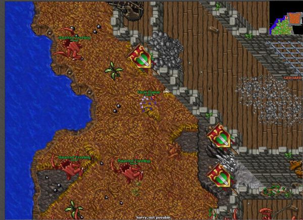 Blood Brothers Quest/Spoiler – Tibia Wiki