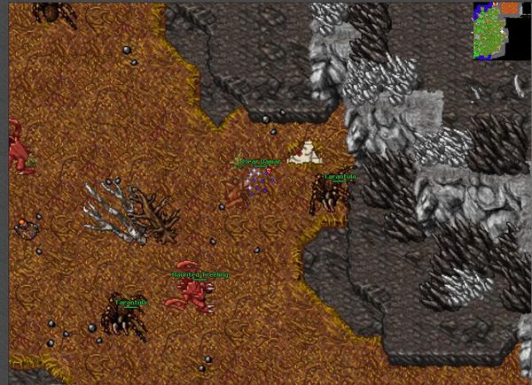Blood Brothers Quest/Spoiler – Tibia Wiki