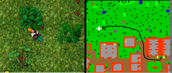 What a foolish Quest/Spoiler – Tibia Wiki